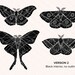 Butterfly Moth SVG Clipart, Hand-drawn, Moon Moth SVG, Butterfly ...