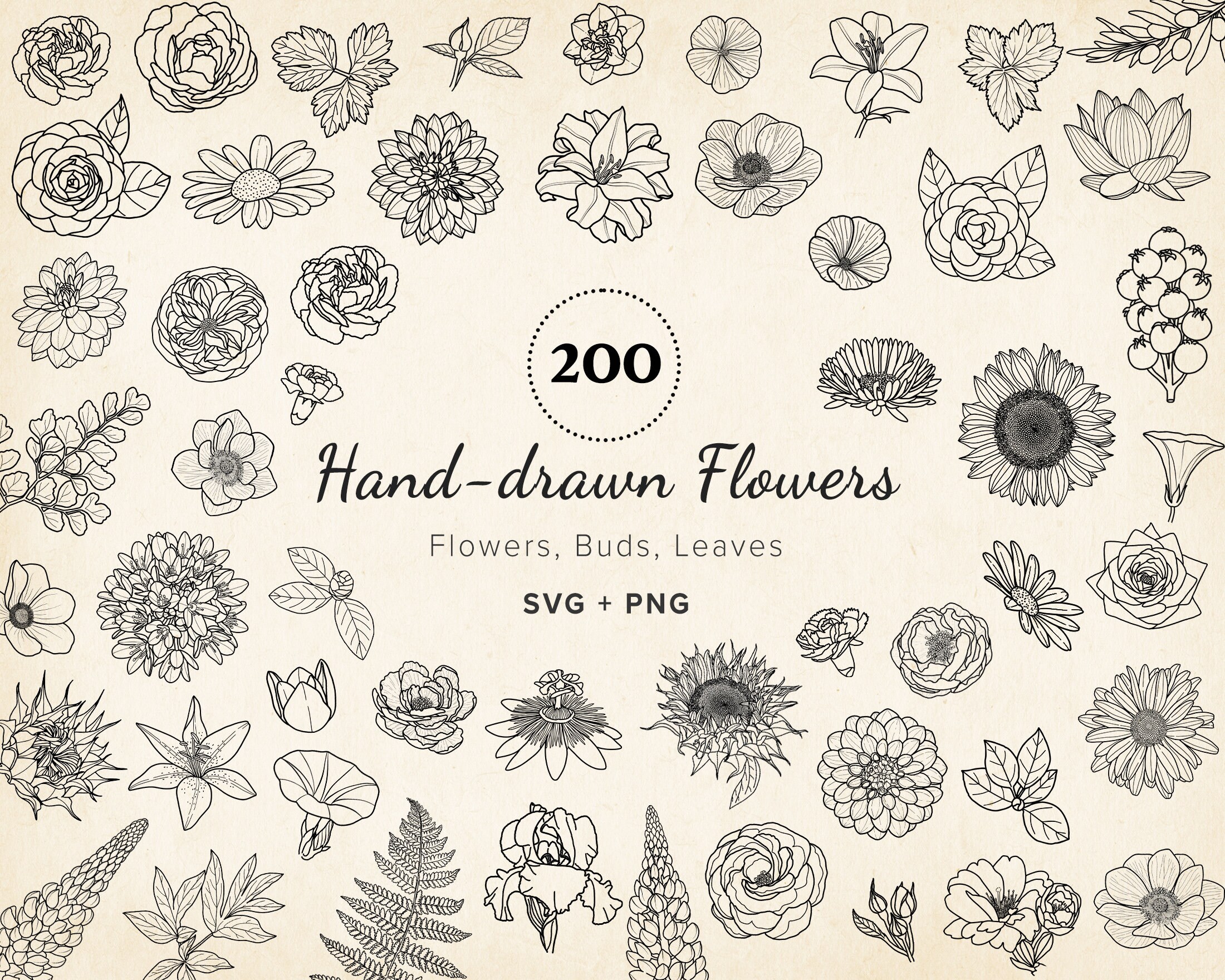 200 Hand-drawn Flowers &leaves SVG Clipart, Vector Flowers Line Art ...