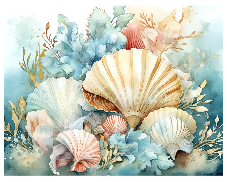 12 Beautiful Summer Sea Shells Digital Papers, Beach & Ocean Pattern ...