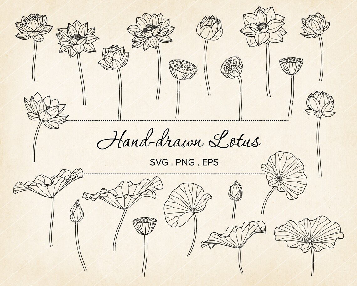 Fine Line Lotus SVG Bundle Hand-drawn Vector Floral Clipart - Etsy ...