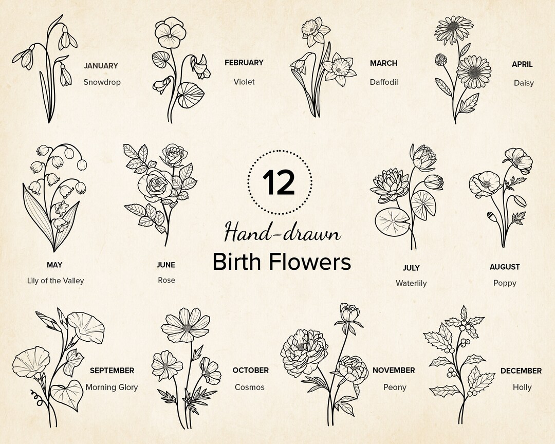 12 Hand-drawn Birth Month Flowers SVG Bundle, Floral & Botanical ...