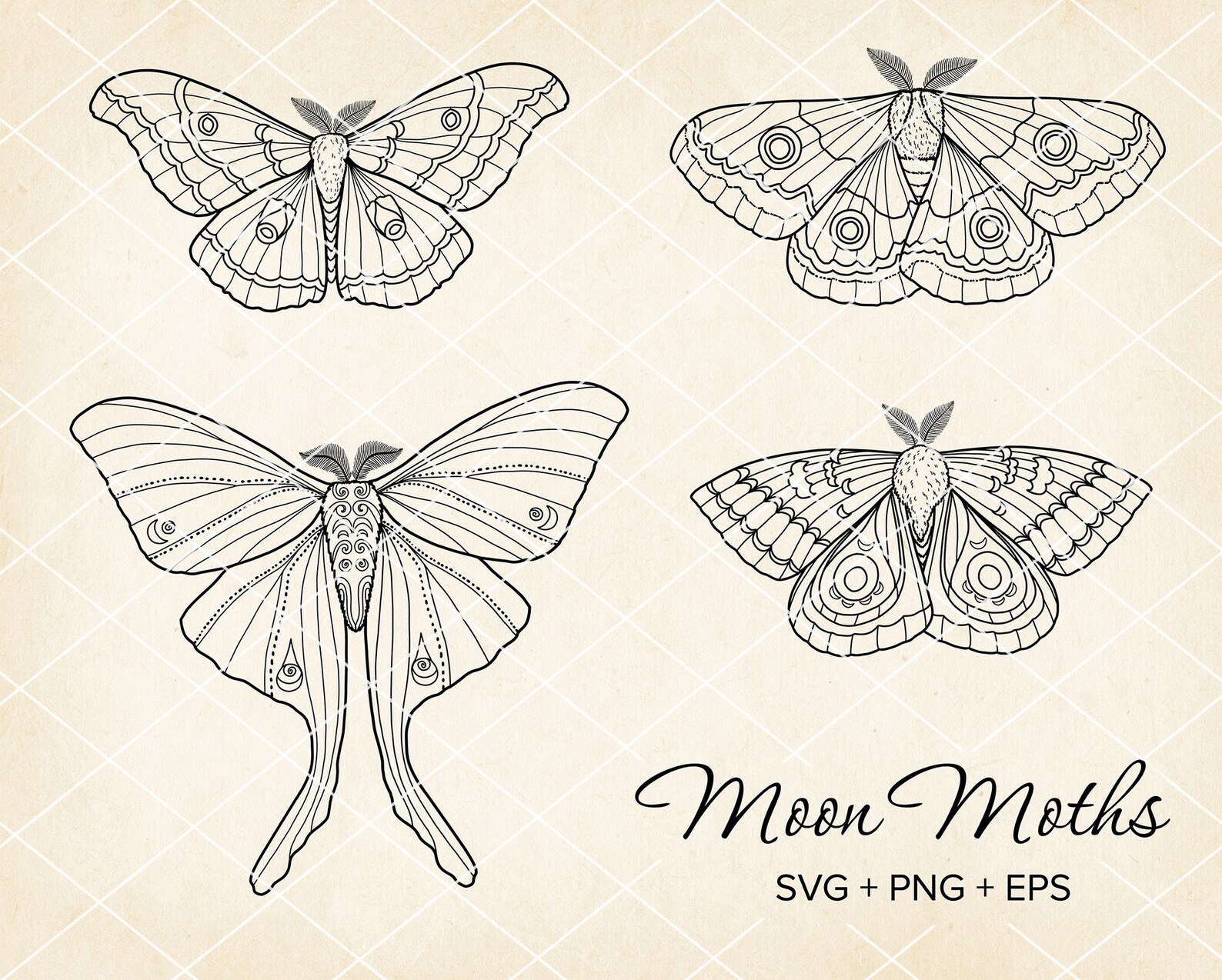 Butterfly Moth SVG Clipart, Hand-drawn, Moon Moth SVG, Butterfly ...