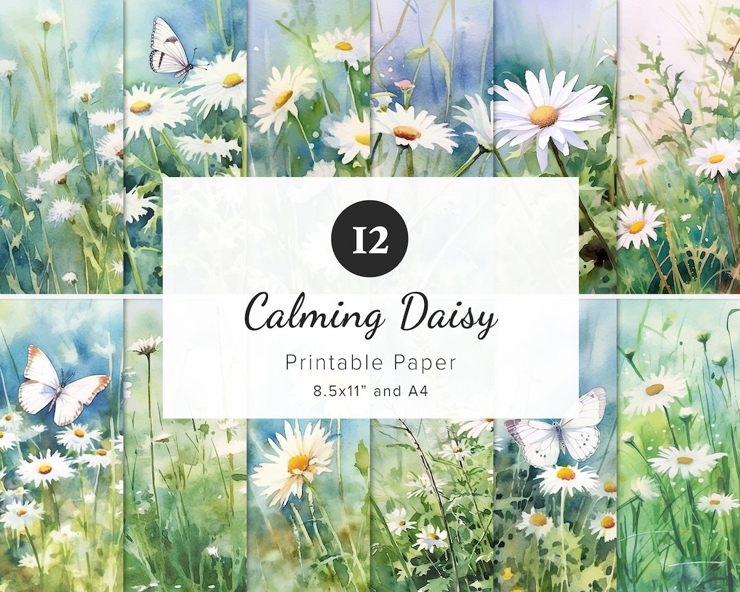 12 Daisy Digital Papers, Floral Medley Pattern, Watercolor Printable ...