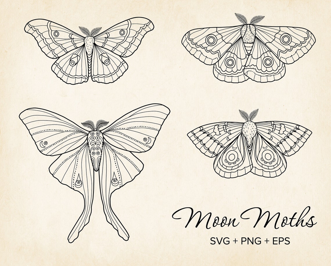 Butterfly Moth SVG Clipart Hand-drawn Moon Moth SVG - Etsy Canada
