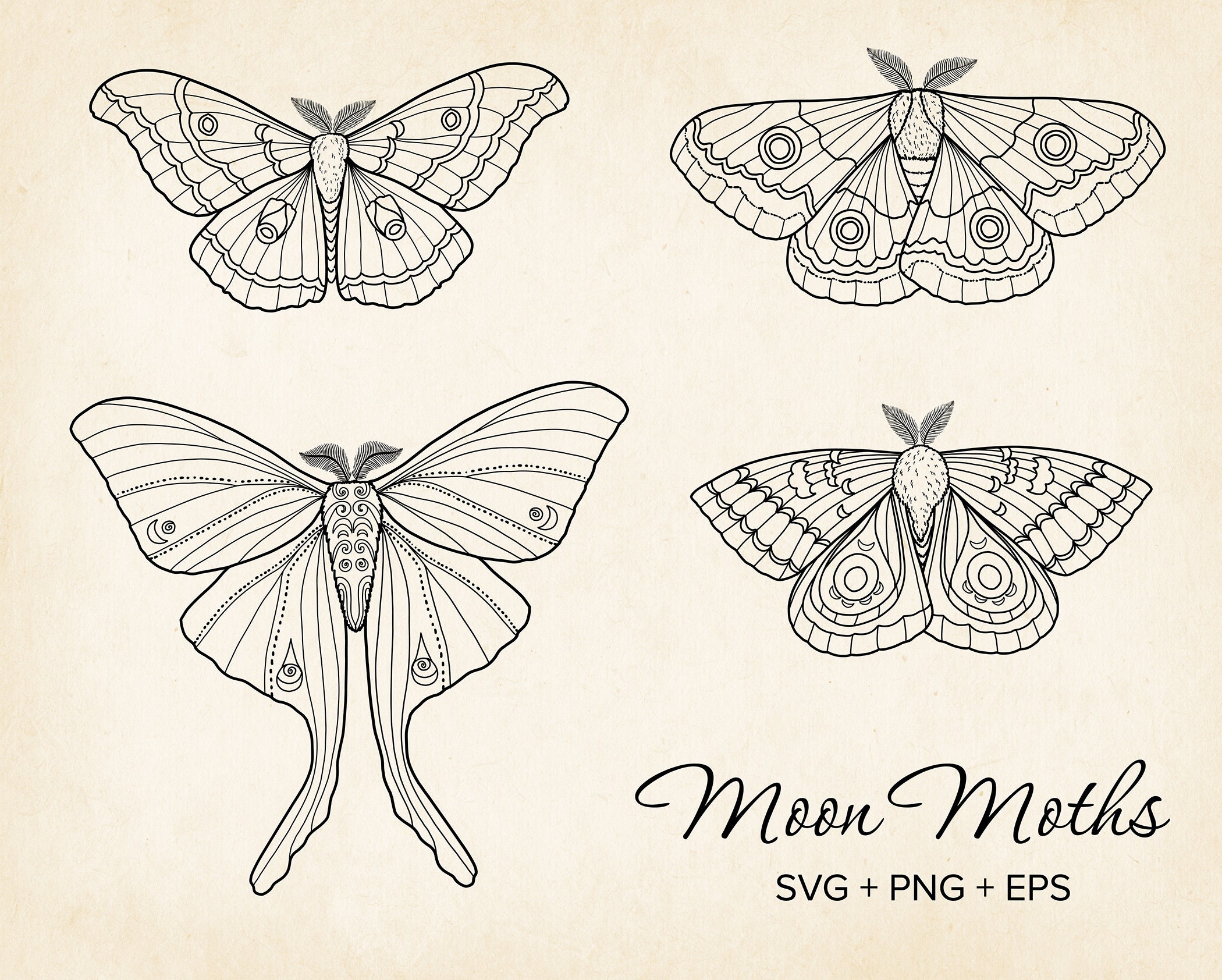 Butterfly Moth SVG Clipart Hand-drawn Moon Moth SVG - Etsy Canada