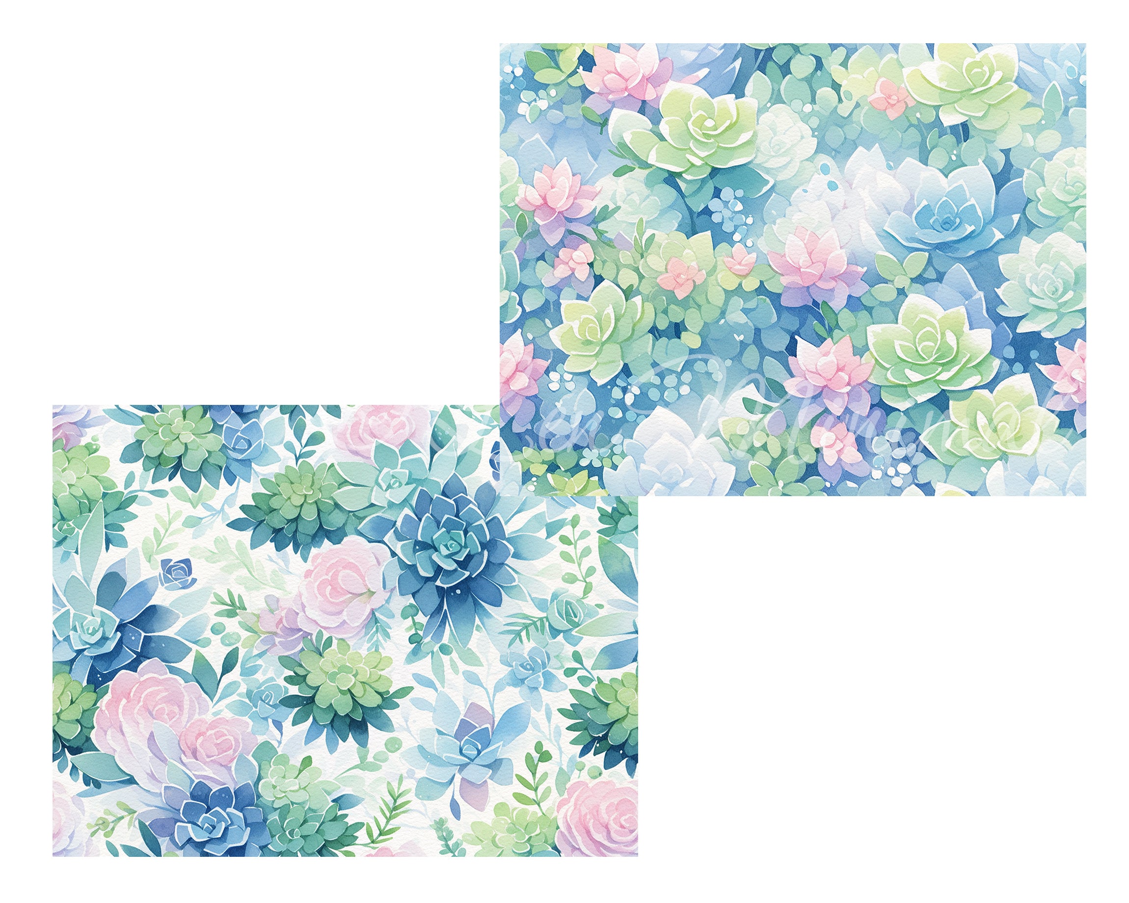20 Succulents Digital Papers Watercolor Succulent Cactus - Etsy