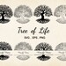 Hand-drawn Tree of Life SVG Clipart, Family Name, Split Tree Vector ...