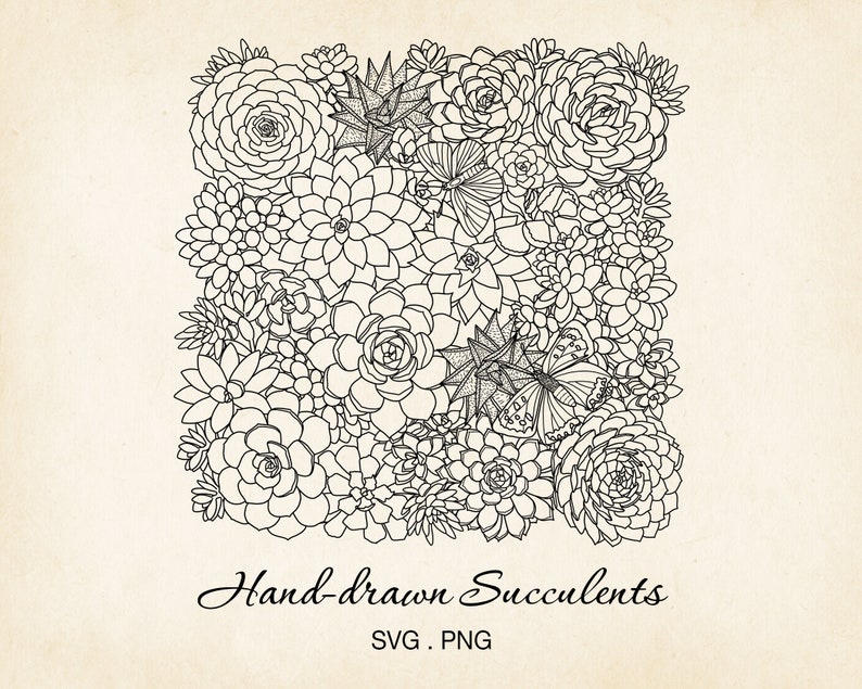 Succulents Cactus SVG Clipart Hand-drawn Succulent Frames - Etsy