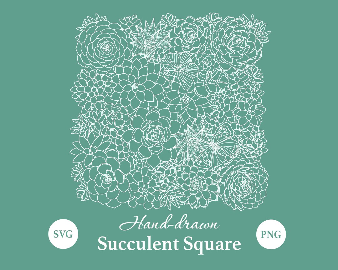 Succulents Cactus SVG Clipart Hand-drawn Succulent Frames - Etsy