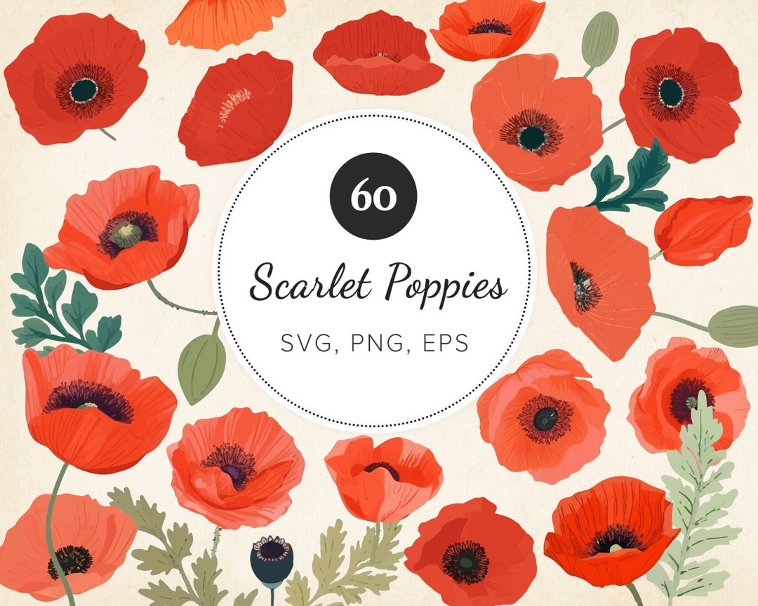 60 Poppy SVG Bundle, Poppies Elements, Watercolor Style, EPS Vector Art ...
