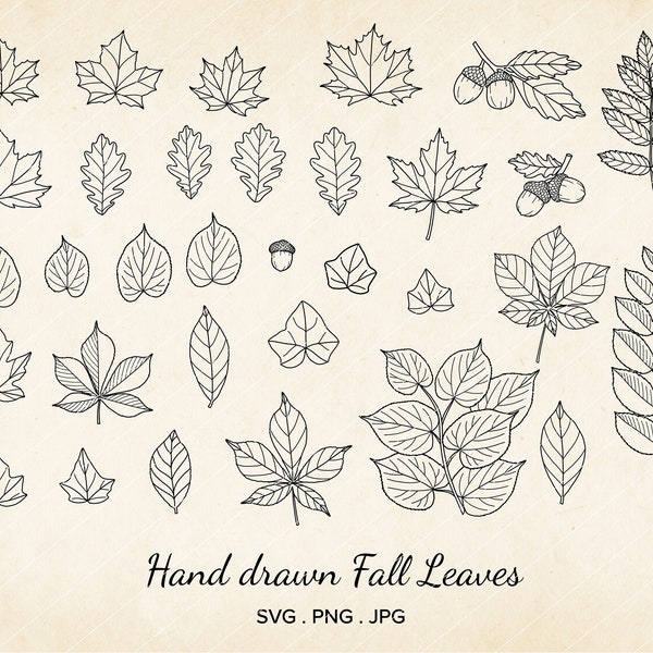 Maple Leaf Line Art - Etsy