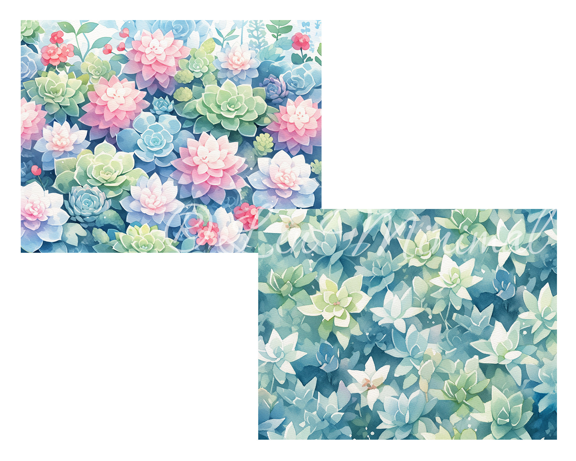 20 Succulents Digital Papers Watercolor Succulent Cactus - Etsy