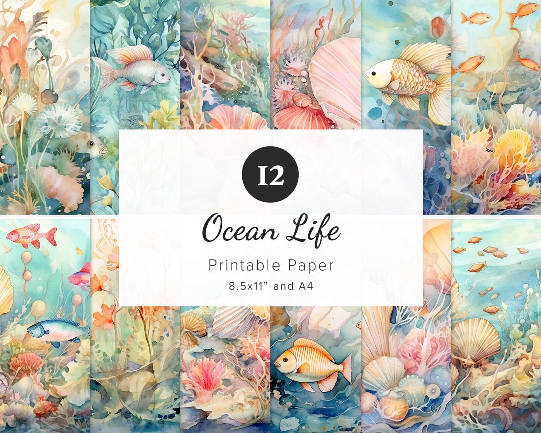 12 Beautiful Ocean Fish Digital Papers, Coral Reef & Shells Pattern ...