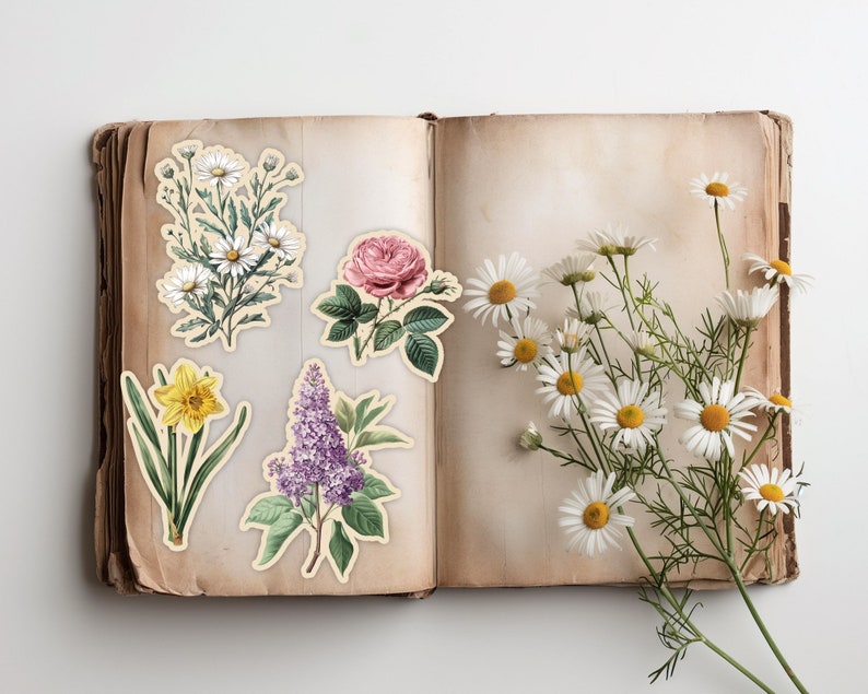 Fussy Cut Vintage Flowers, Junk Journal Flowers Ephemera, Vintage ...
