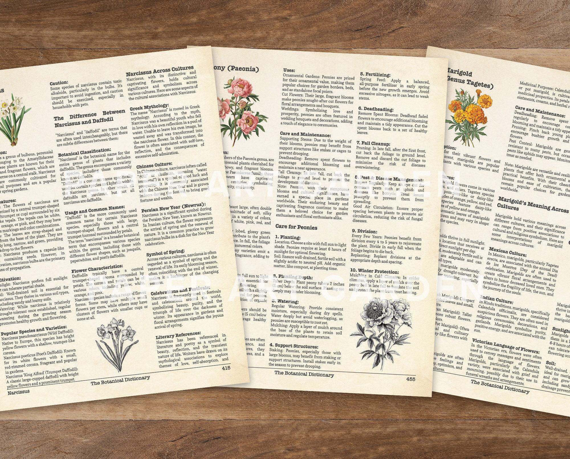 Printable Botanical Birth Flowers Dictionary Pages Birth Month Flower ...