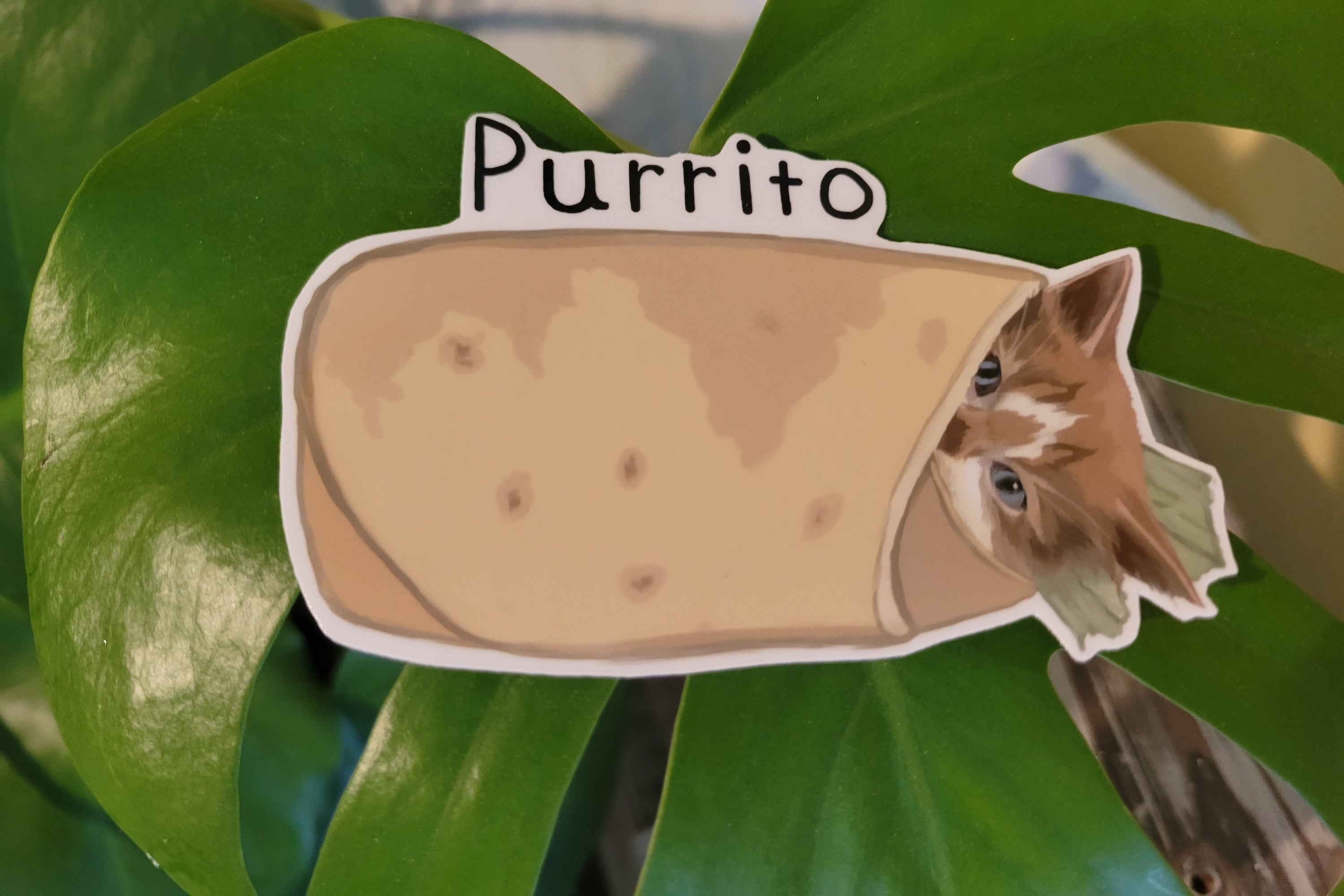 Purrito Sticker | Meme Sticker | Cat Sticker | Burrito Sticker | Vinyl ...