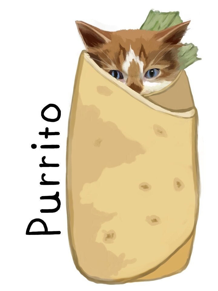 Purrito Sticker | Meme Sticker | Cat Sticker | Burrito Sticker | Vinyl ...