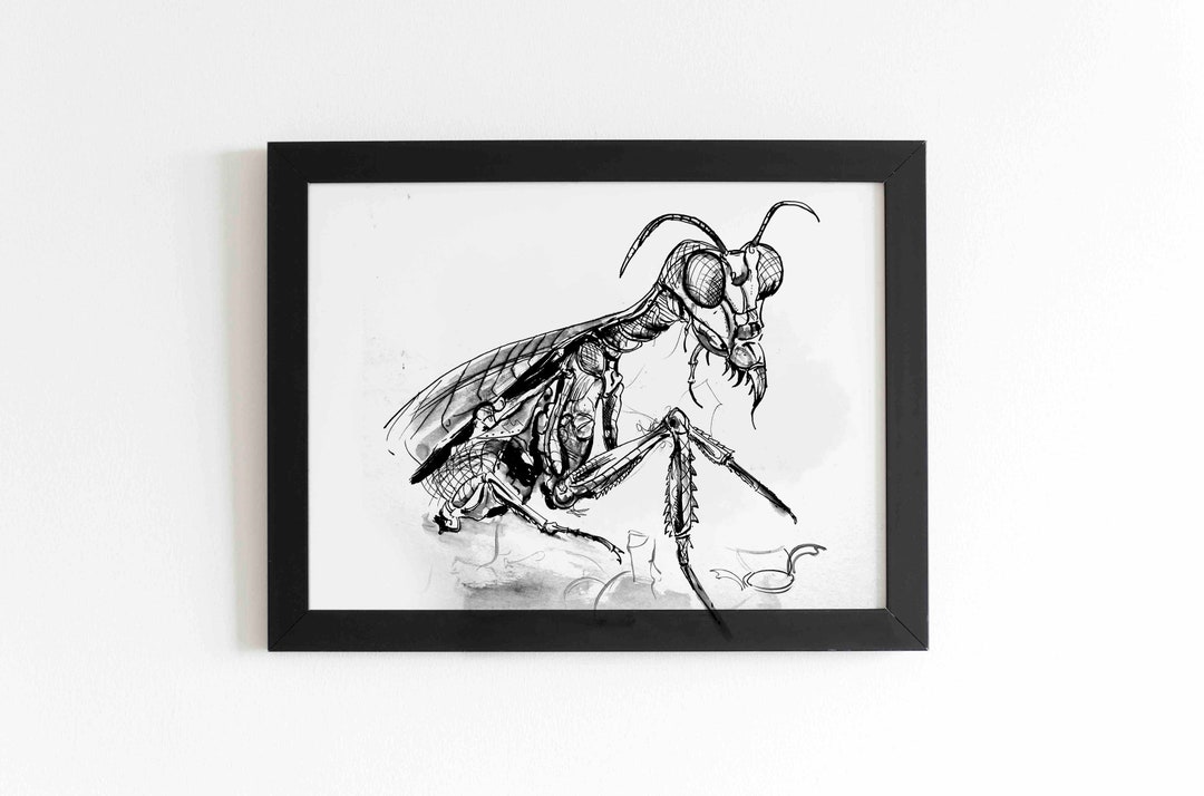 Original and Unique Ink Drawing of an Insect - Etsy