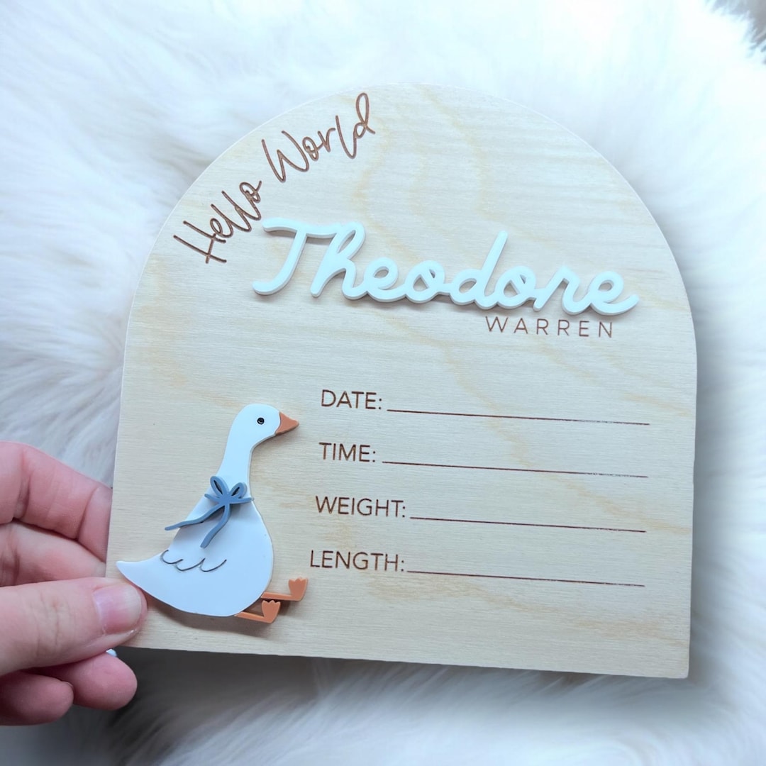 Goose Baby Stat Sign | Coquette Goose Baby Announcement | Baby Shower ...