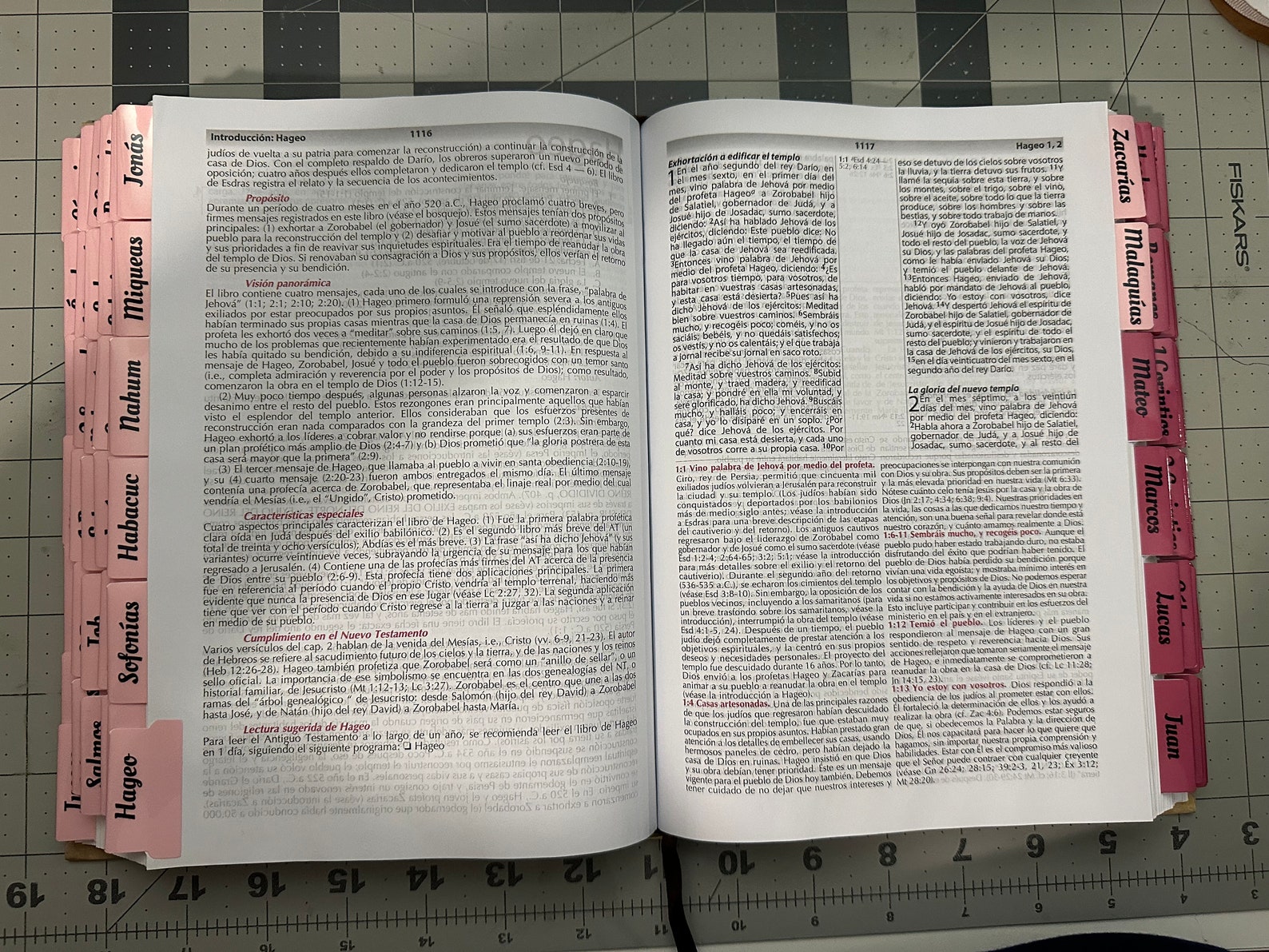 Pestañas Laminadas Para Biblia. Mujer Cristiana. Bible Journaling ...