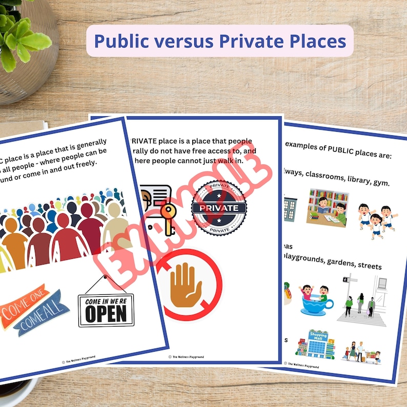 Public and Private Places Social Story: Special Education (PDF) - Etsy