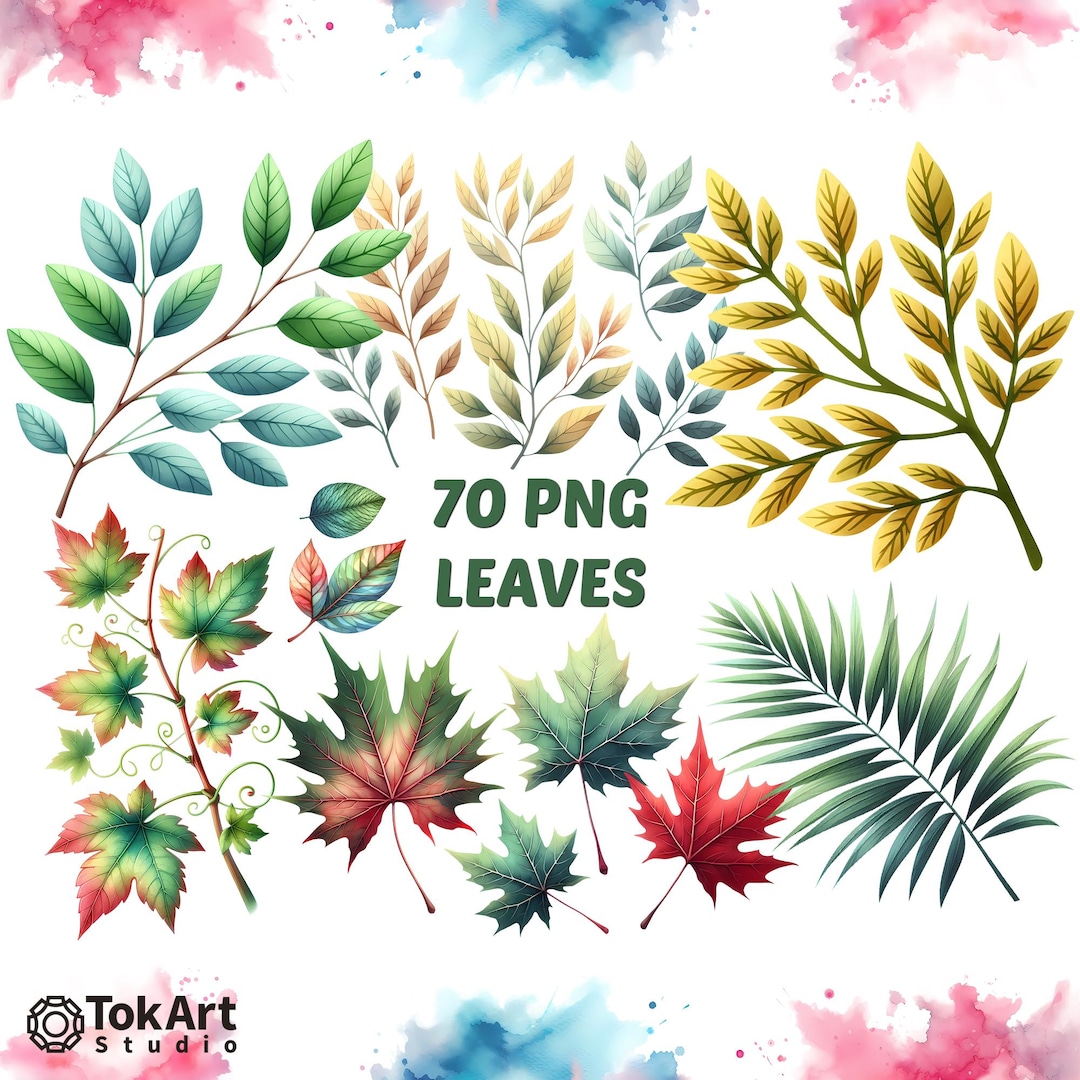 Watercolor Transparent PNG Leaf Image Set, Watercolor PNG Green Leaf ...