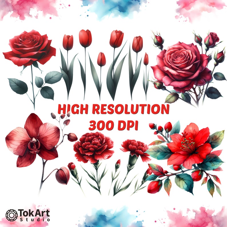 Watercolor Transparent PNG Red Flower Images, Watercolor Red Rose, Red ...