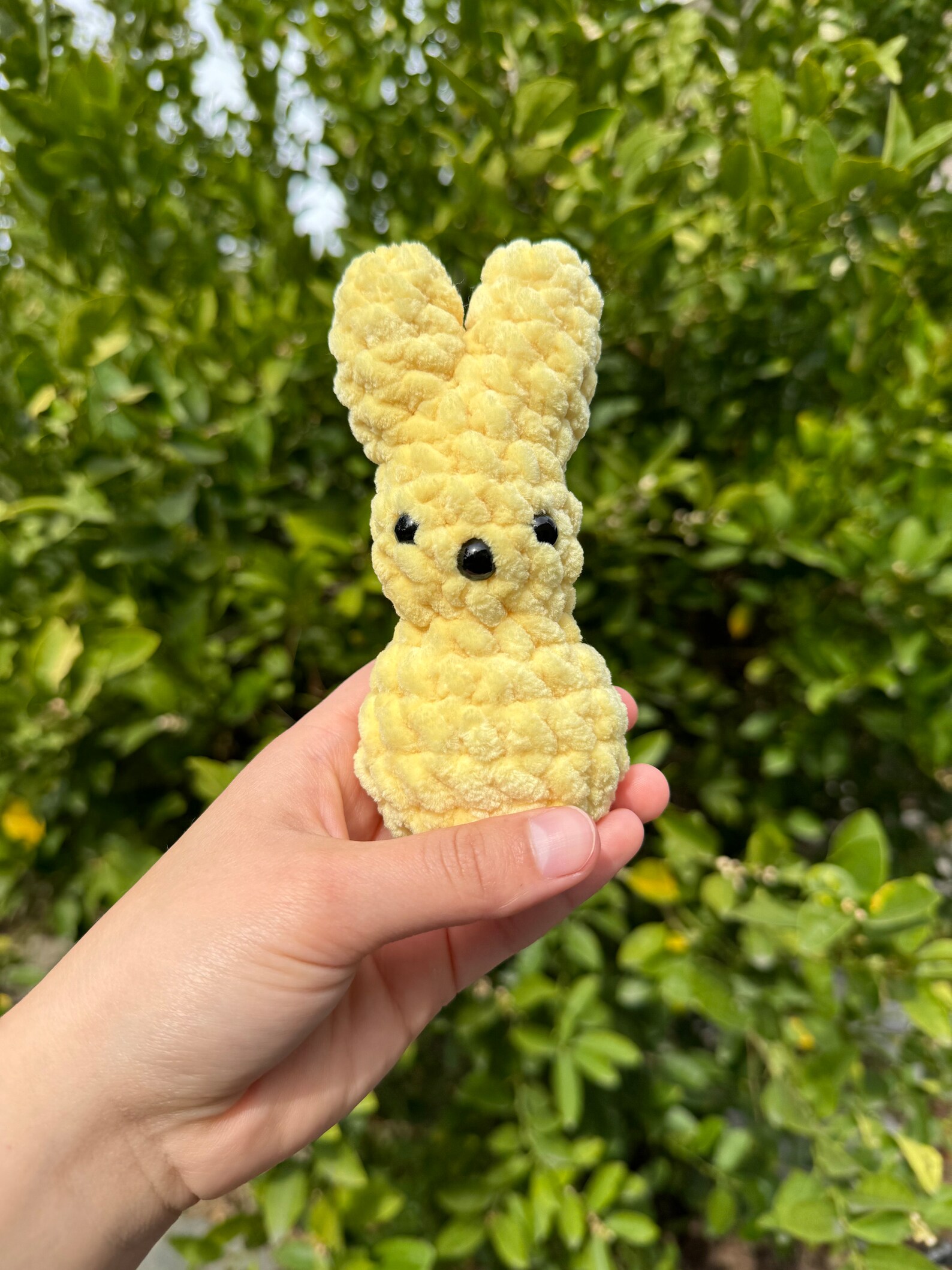 No Sew Bunny Peep Crochet Pattern Easy Beginner Amigurumi Digital PDF ...