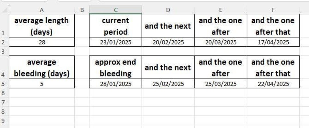 Basic Period Tracker Excel Spreadsheet - Etsy