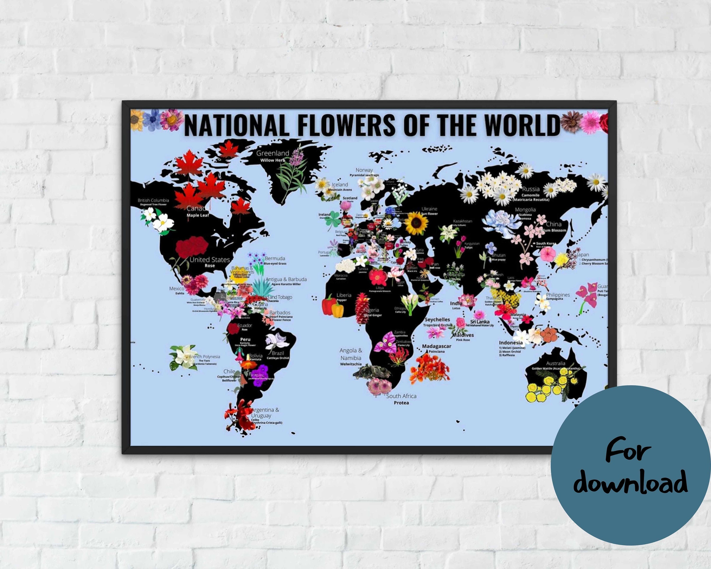 National Flowers of the World Map,world Map of National Flowers ...