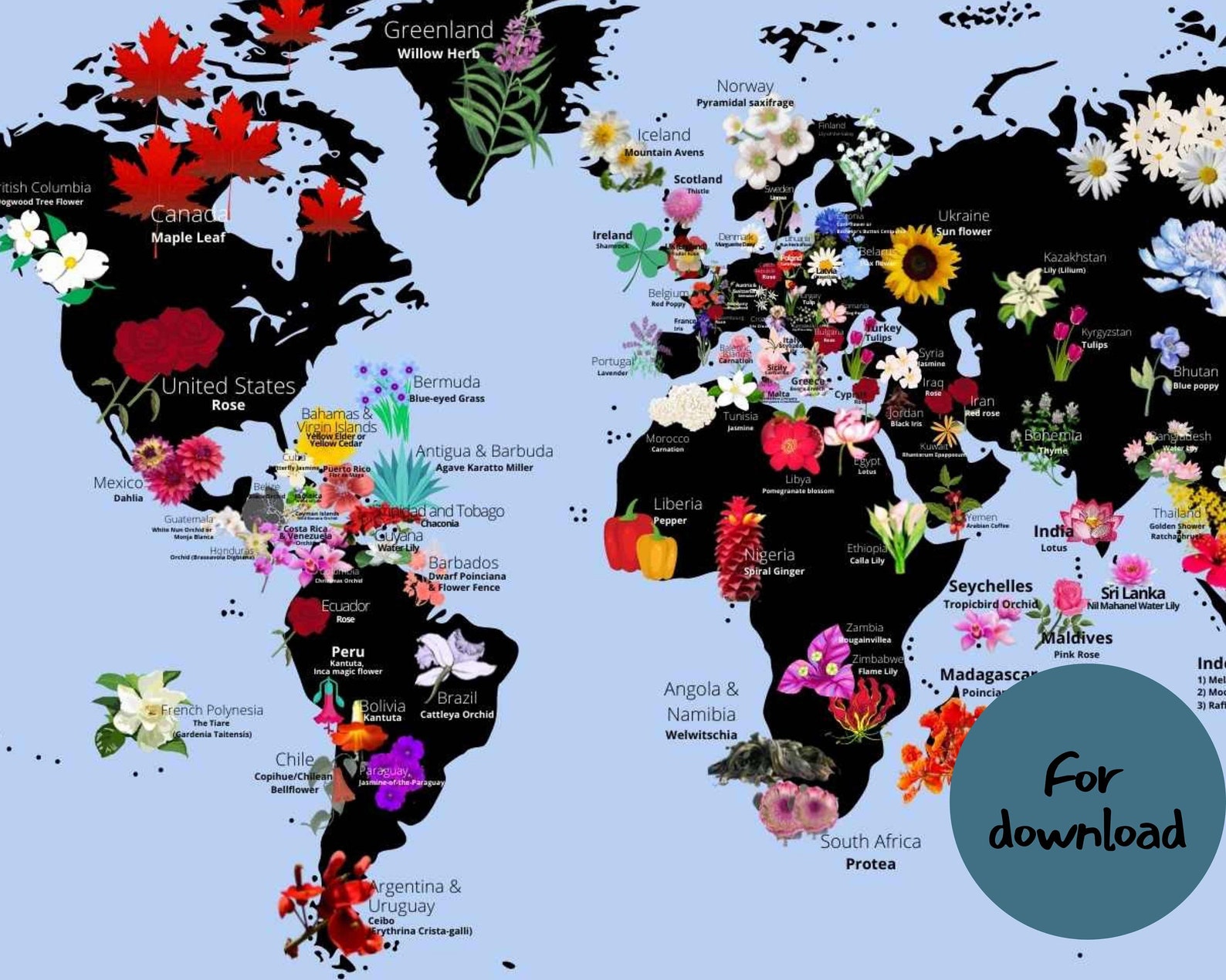 National Flowers of the World Map,world Map of National Flowers ...