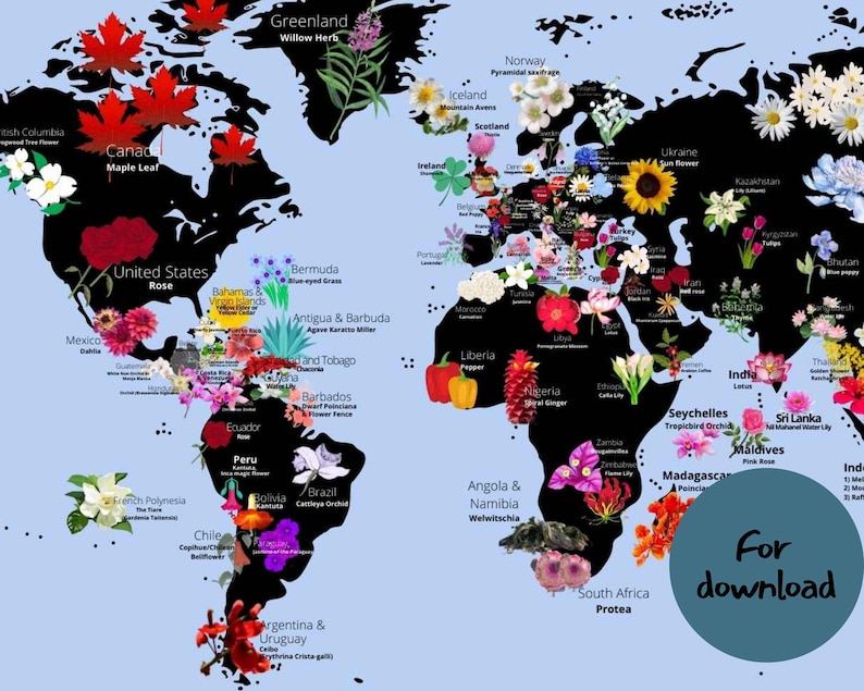 National Flowers of the World Map,world Map of National Flowers ...