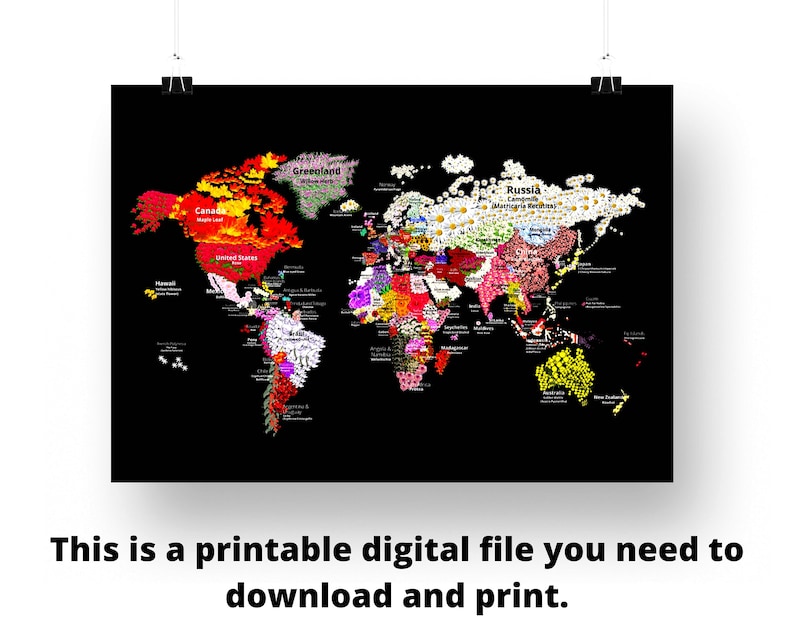 World Map Flower Collage,national Flowers World Map,world Map Flower ...