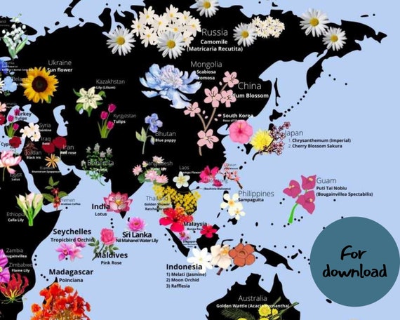 Flowers Of The Countries Of The World World National Flowers