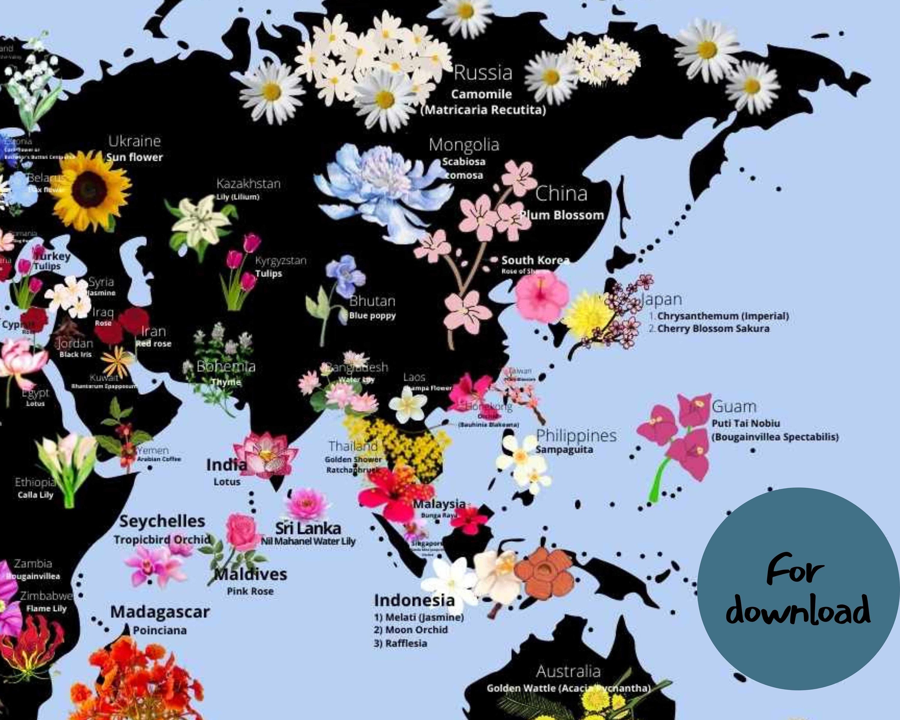 National Flowers of the World Map,world Map of National Flowers ...