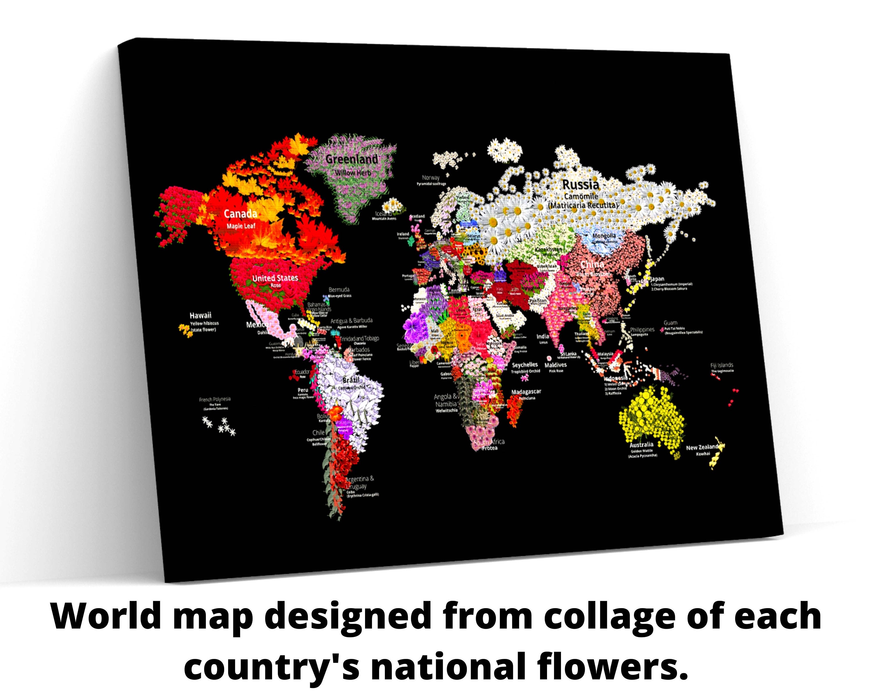 World Map Flower Collage,national Flowers World Map,world Map Flower ...