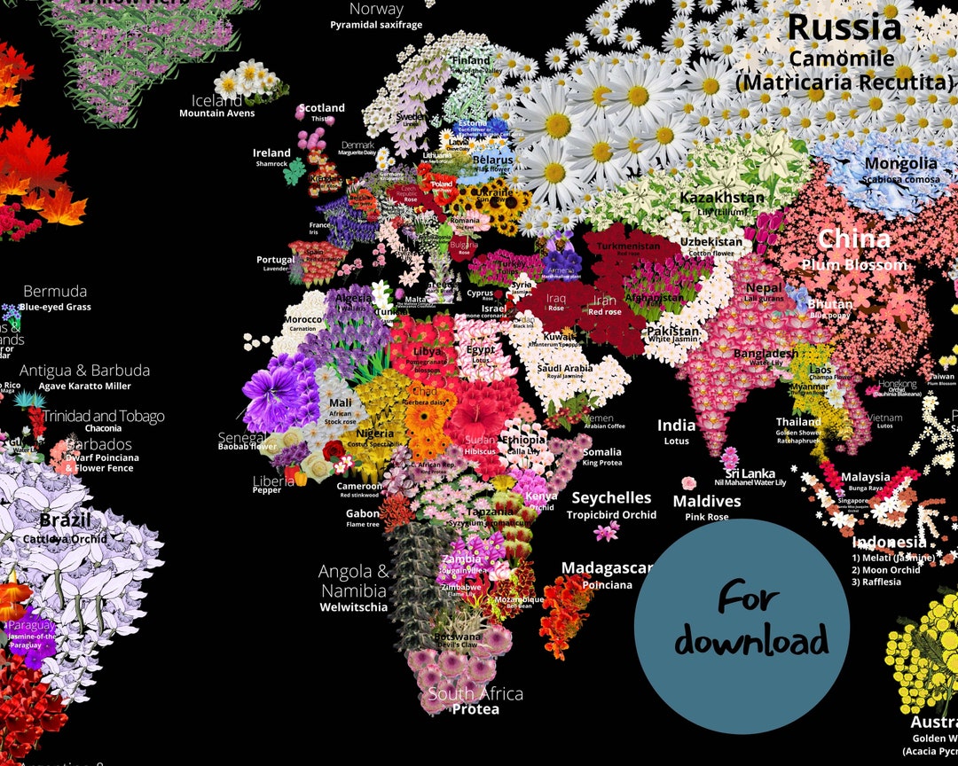 World Map Flower Collage,national Flowers World Map,world Map Flower ...