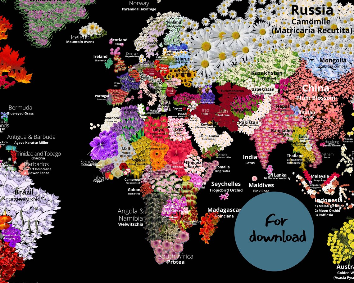 World Map Flower Collage,national Flowers World Map,world Map Flower ...