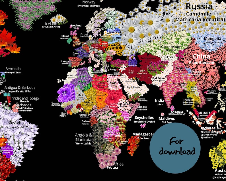 World Map Flower Collage,national Flowers World Map,world Map Flower ...