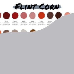 Procreate Color Palette Flint Corn Instant Download Digital File Color ...