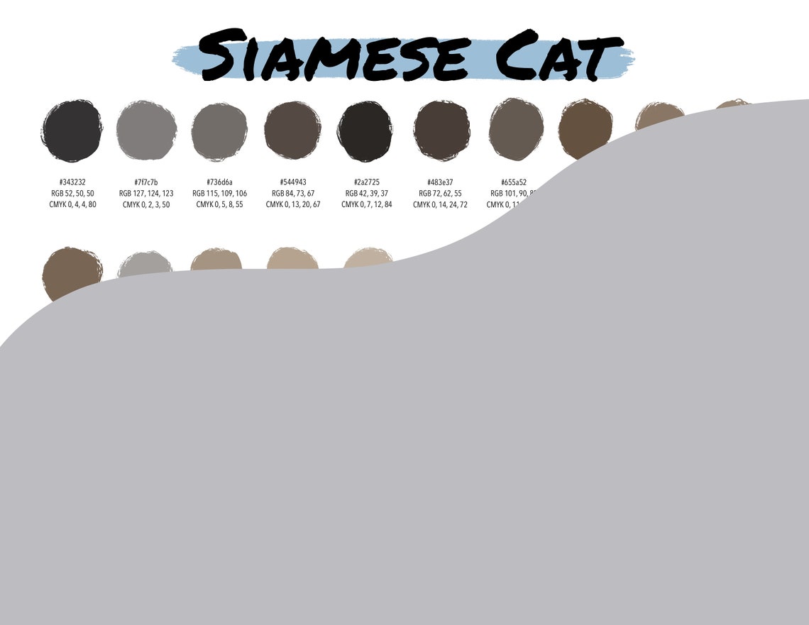 Procreate Color Palette | Siamese Cat | Instant Download | Digital File ...