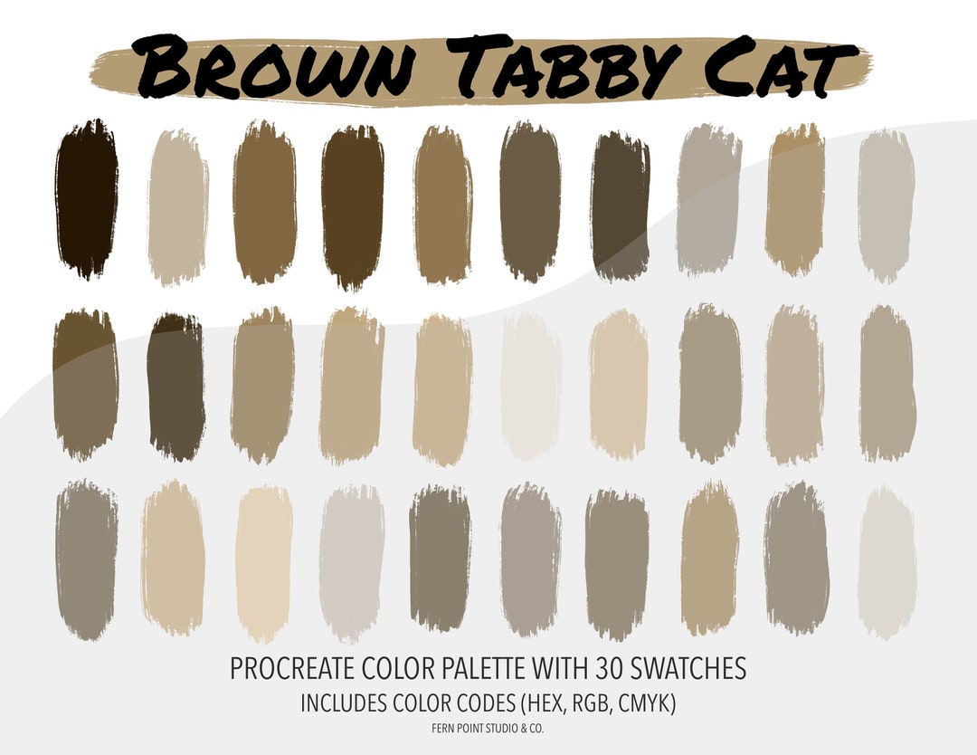 Procreate Color Palette | Brown Tabby Cat | Instant Download | Digital ...