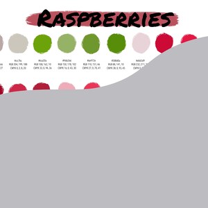 Procreate Color Palette | Raspberries | Instant Download | Digital File ...