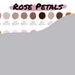 Procreate Color Palette | Rose Petals | Instant Download | Digital File ...