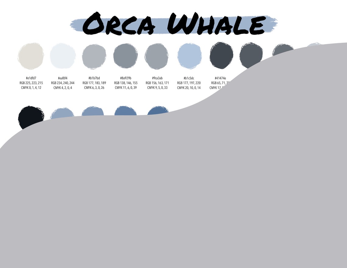 Procreate Color Palette Orca Whale Instant Download Digital File Color ...