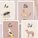 ABC Alphabet Flashcards Learning Letter Native Australian Animals Play ...