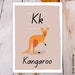 ABC Alphabet Flashcards Learning Letter Native Australian Animals Play ...