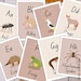 ABC Alphabet Flashcards Learning Letter Native Australian Animals Play ...