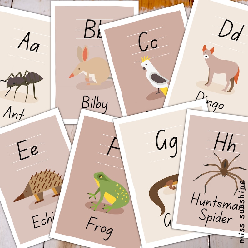 ABC Alphabet Flashcards Learning Letter Native Australian - Etsy Canada