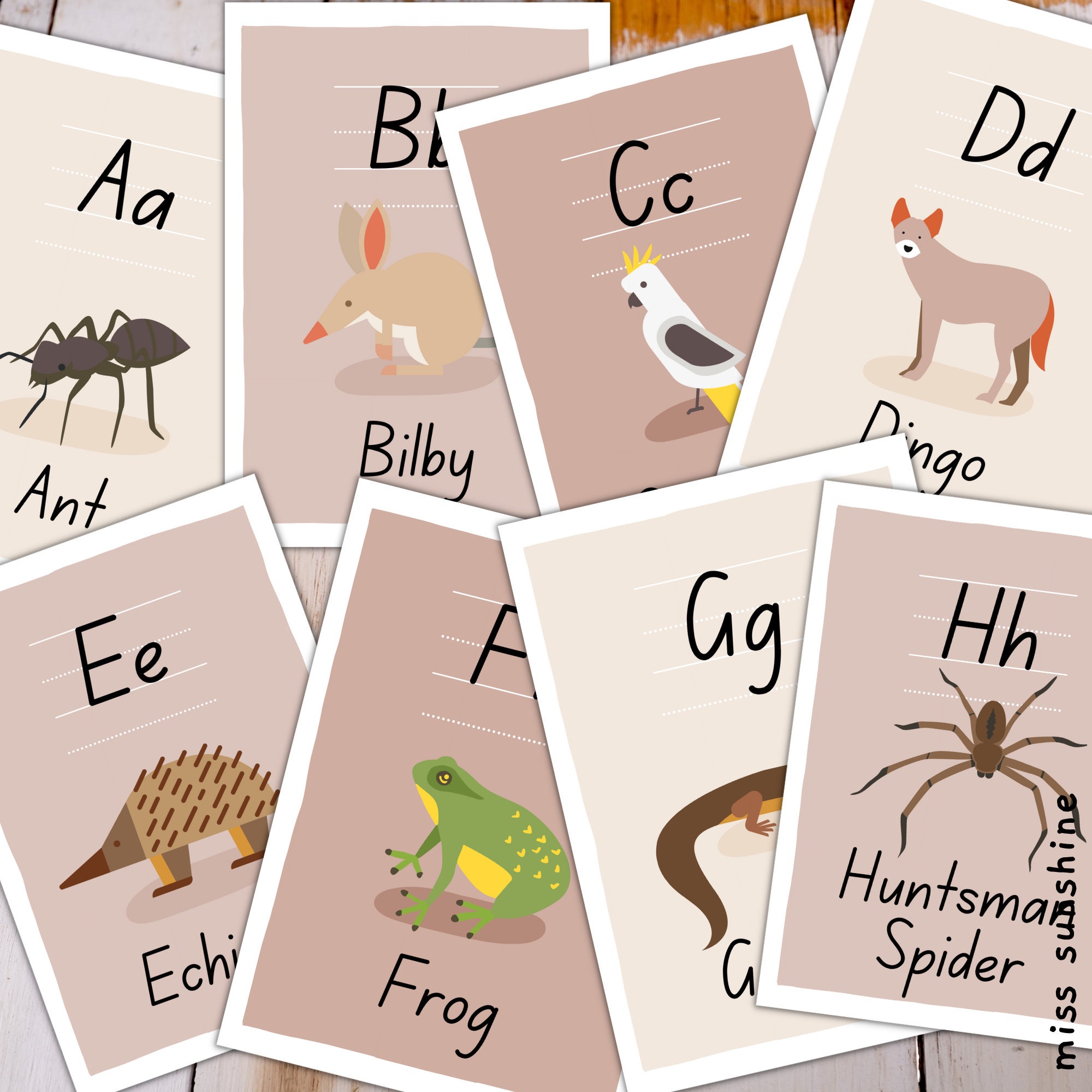 ABC Alphabet Flashcards Learning Letter Native Australian Animals Play ...